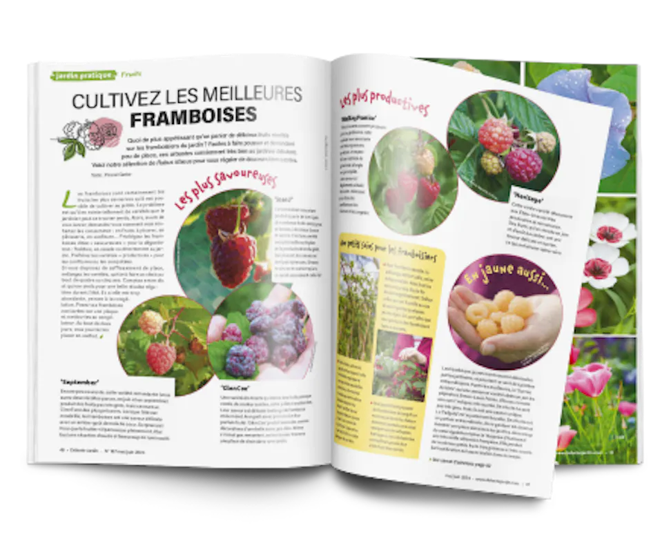 Votre magazine : Détente Jardin, n°1 de la presse jardin